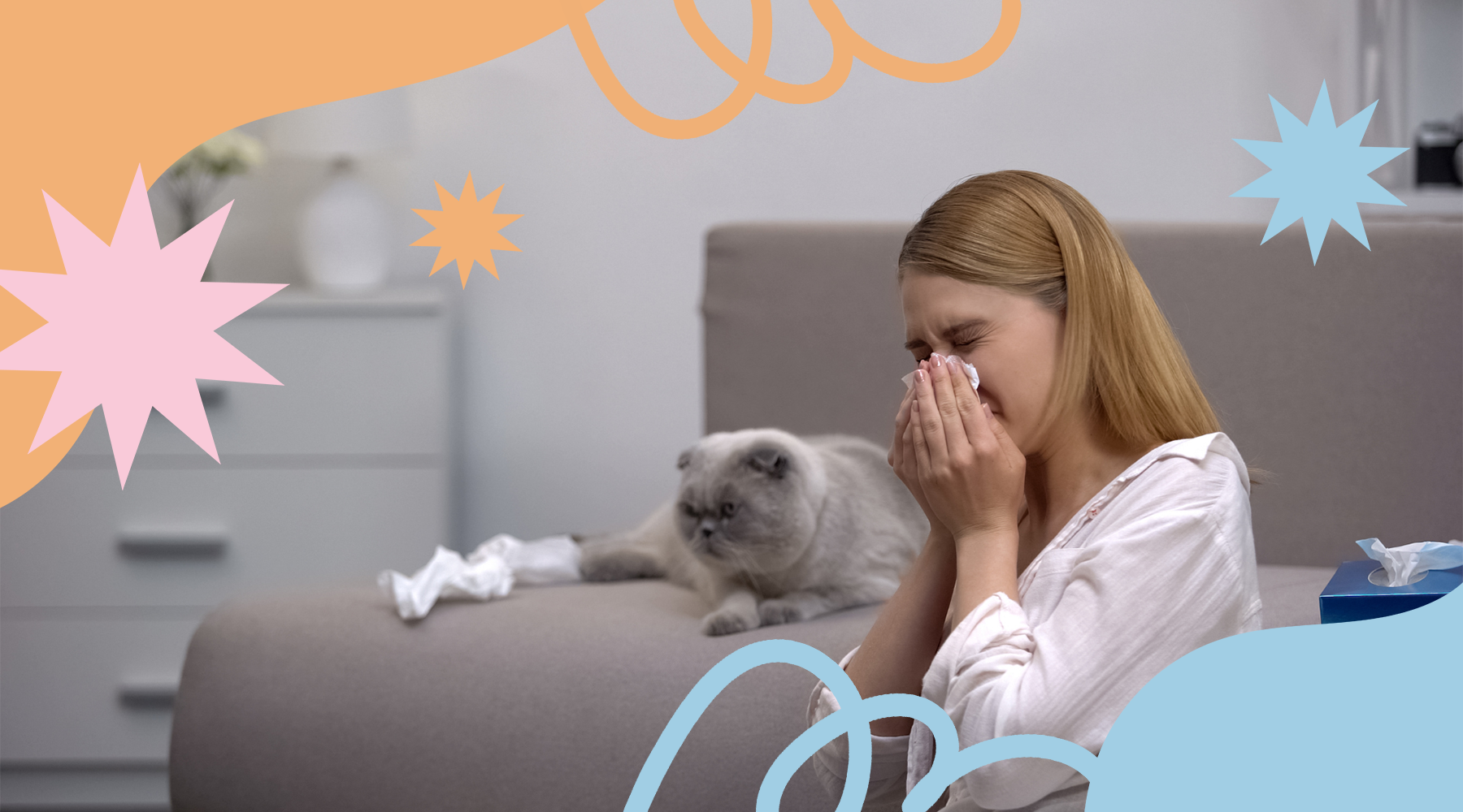 The Best Hypoallergenic Cat Breeds for People with Allergies – My Felidae